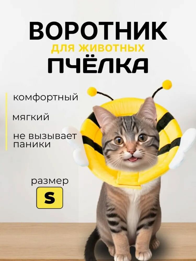 Защитный ветеринарный воротник для кошек и маленьких собак воротник конус для животных, пчелка, размер S