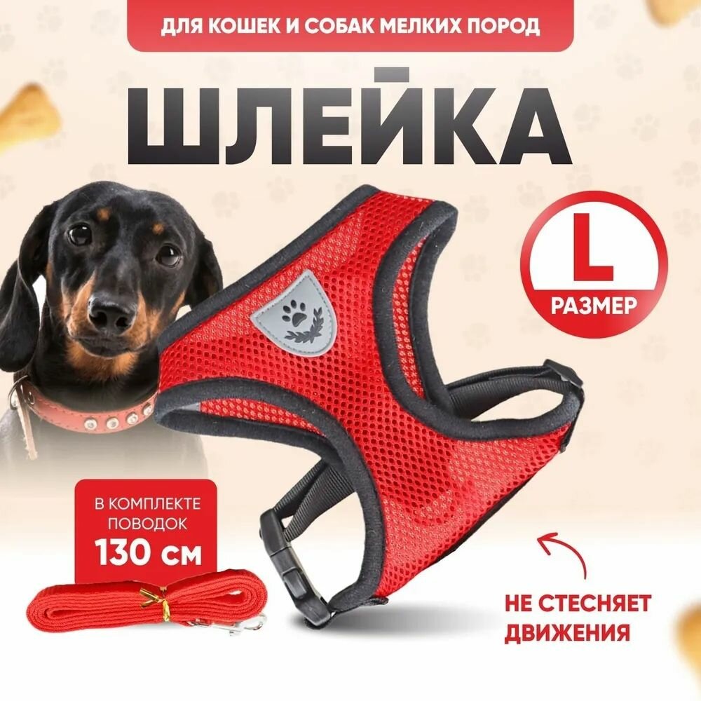 Шлейка для кошек и собак с поводком длиной 1.2М, Дышащая светоотражающая шлейка для собак