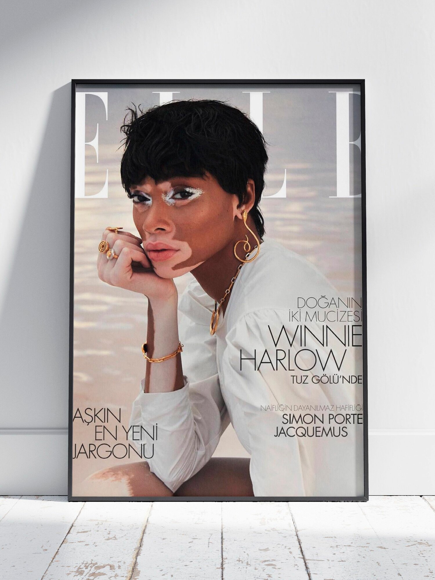 Плакат на стену для интерьера Винни Харлоу (Winnie Harlow 19) - Постер по модели, бренду и моде формата A4 (21x30 см)