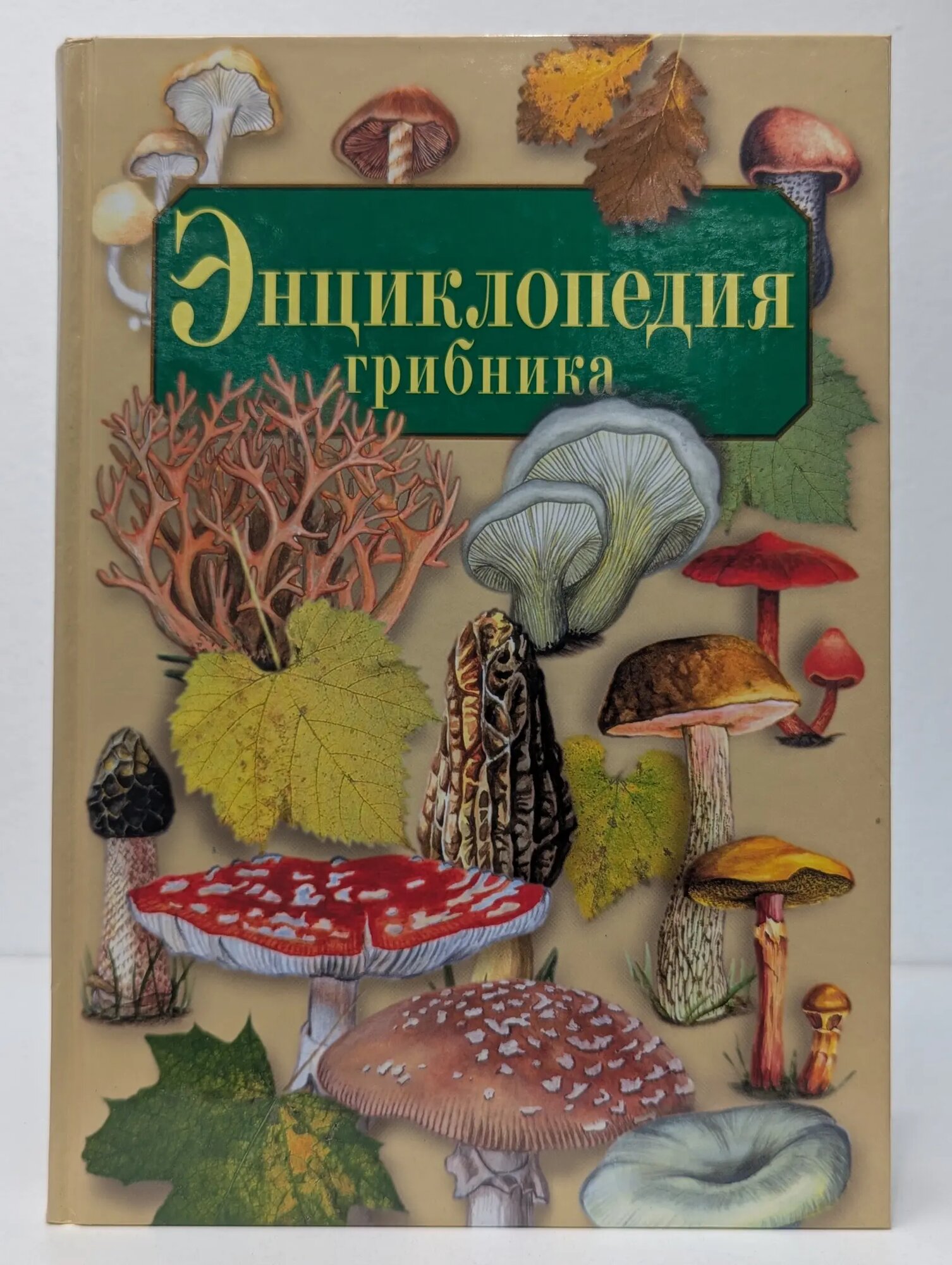 Энциклопедия грибника Умельцев Алексей Петрович (сост.) 2004