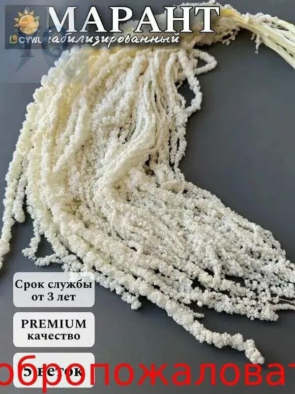 Стабилизированные цветы Амарант, 150 гр, 1 шт