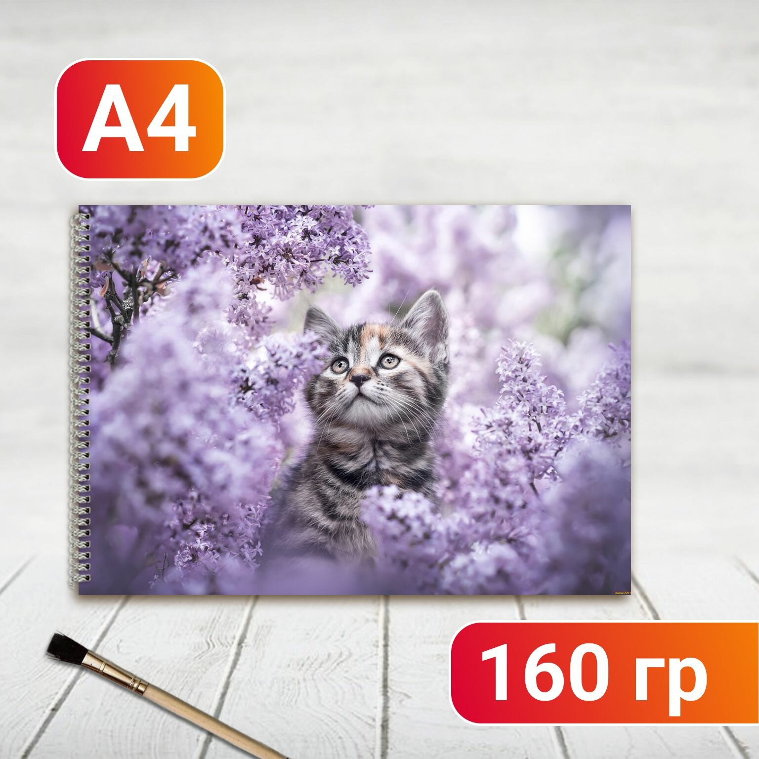 Альбом для рисования Котик
