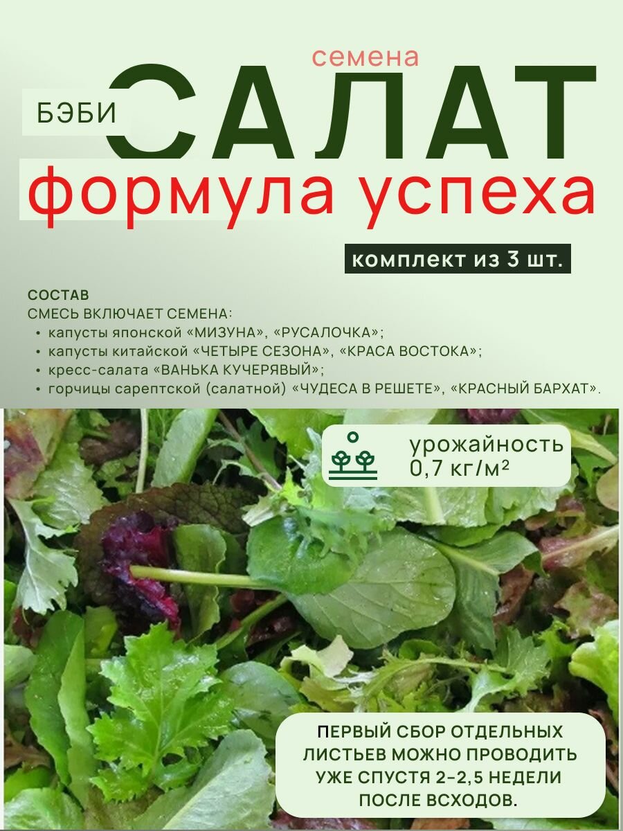 Семена салата Агрофирма аэлита "Бэби салат Формула успеха", для балкона, террасы, комнаты, улицы, 3 пачки