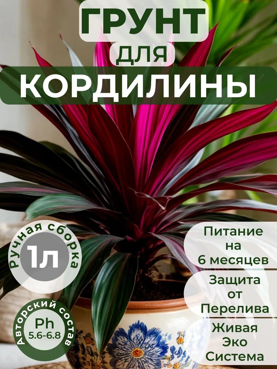 Готовый авторский грунт для Кордилины премиум 1 литр