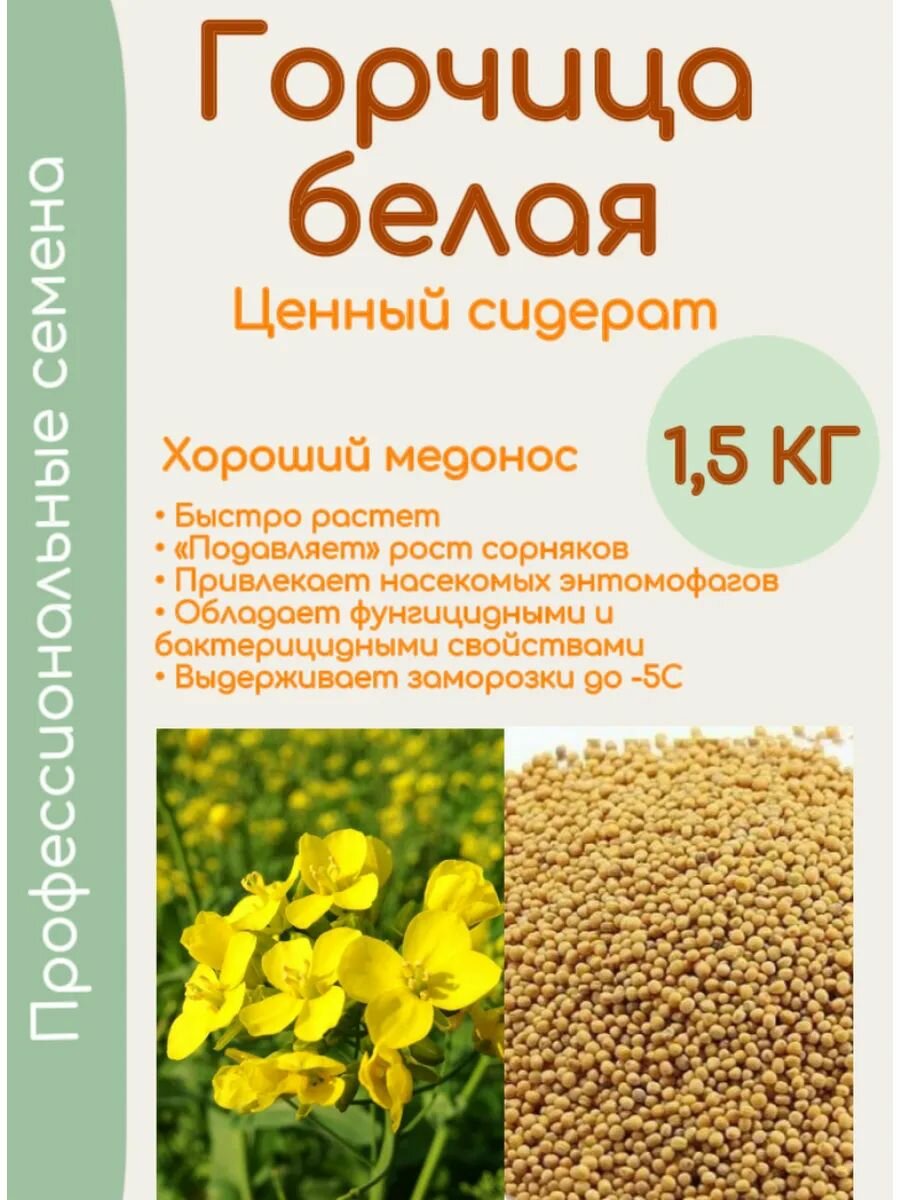 Семена белой горчицы сидерат 1,5 кг