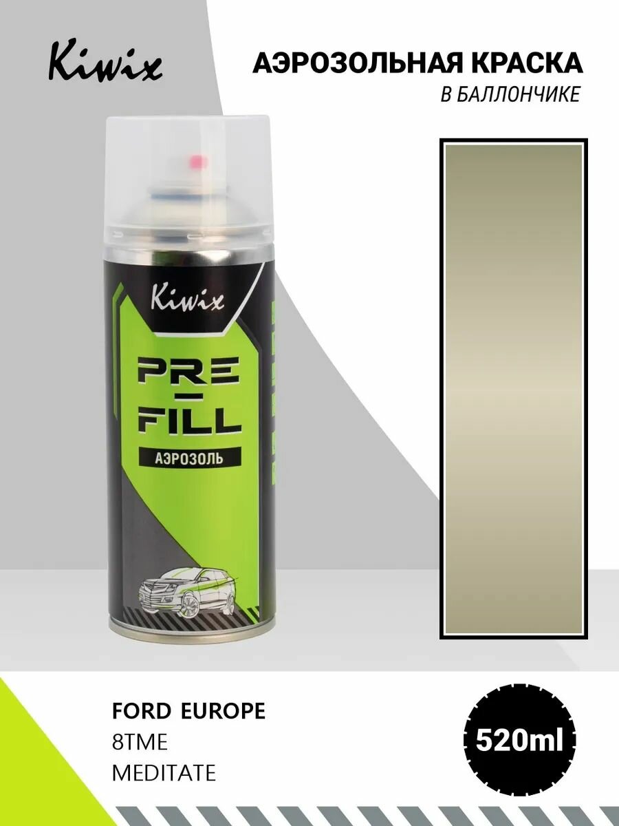 Аэрозольная краска FORD EUROPE 8TME MEDITATE 520мл