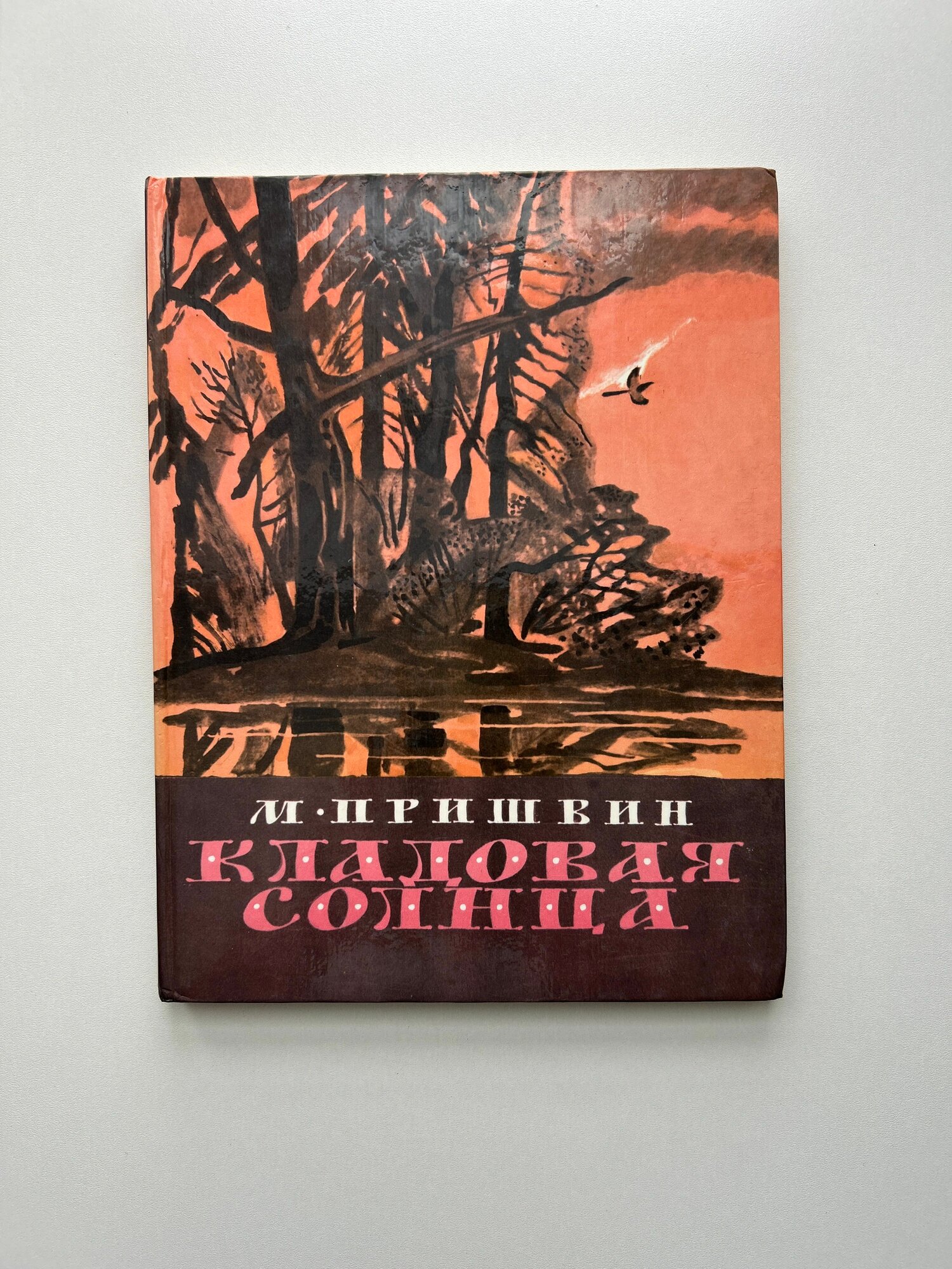 Книга "Кладовая солнца". Художник Иван Бруни. Издание 1983 года