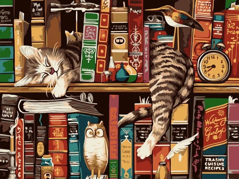 Набор для рисования по номерам Спящий кот на книжной полке, 40x50 см, набор для творчества своими руками, декор для дома, подарок для снятия стресса, рамка не входит в комплект