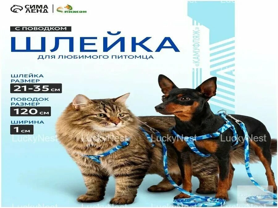 Шлейка для собак мелких пород и кошек, ОШ 16,5-27, ОГ 21-35 см, поводок 120*1 см, сине-голубой