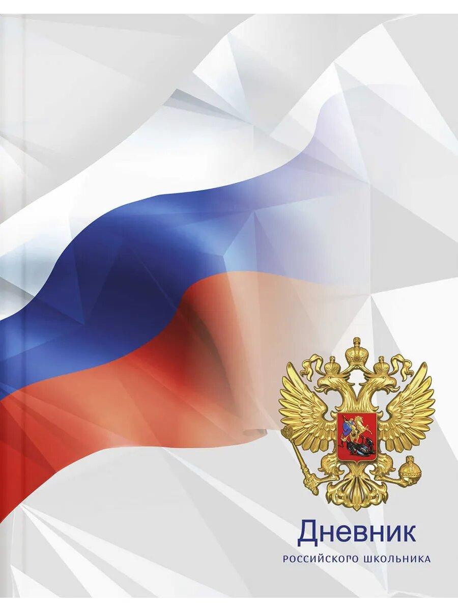 Дневник российского школьника Светлое будущее, 48 листов, А5