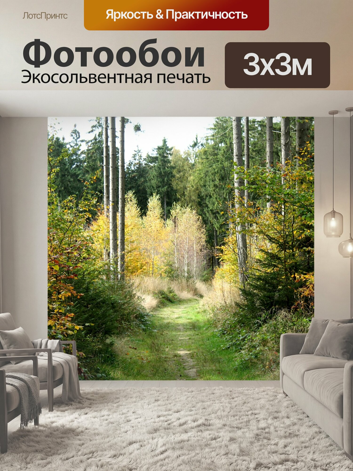 Фотообои "Лесная тропа, лес, деревья" 300x300 см. экосольвентная печать