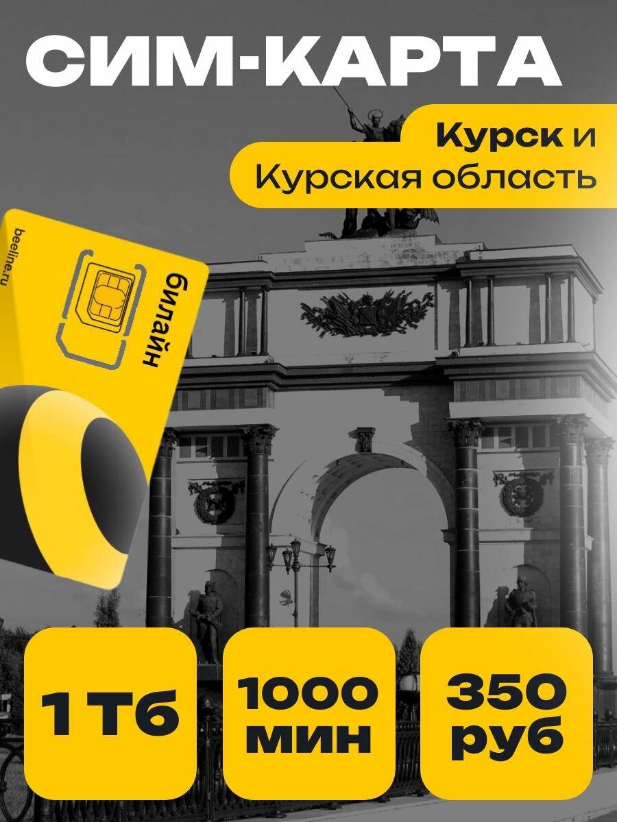 Сим-карта Билайн тариф Эксклюзивный Плюс Курская область 1000 Гб + 1000 минут за 350 руб.