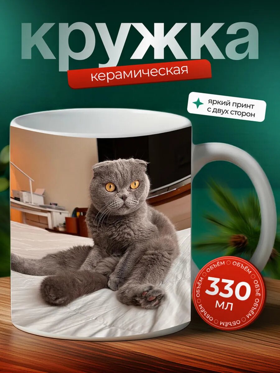 Кружка Американский рингтейл длинношерстный кот 57,