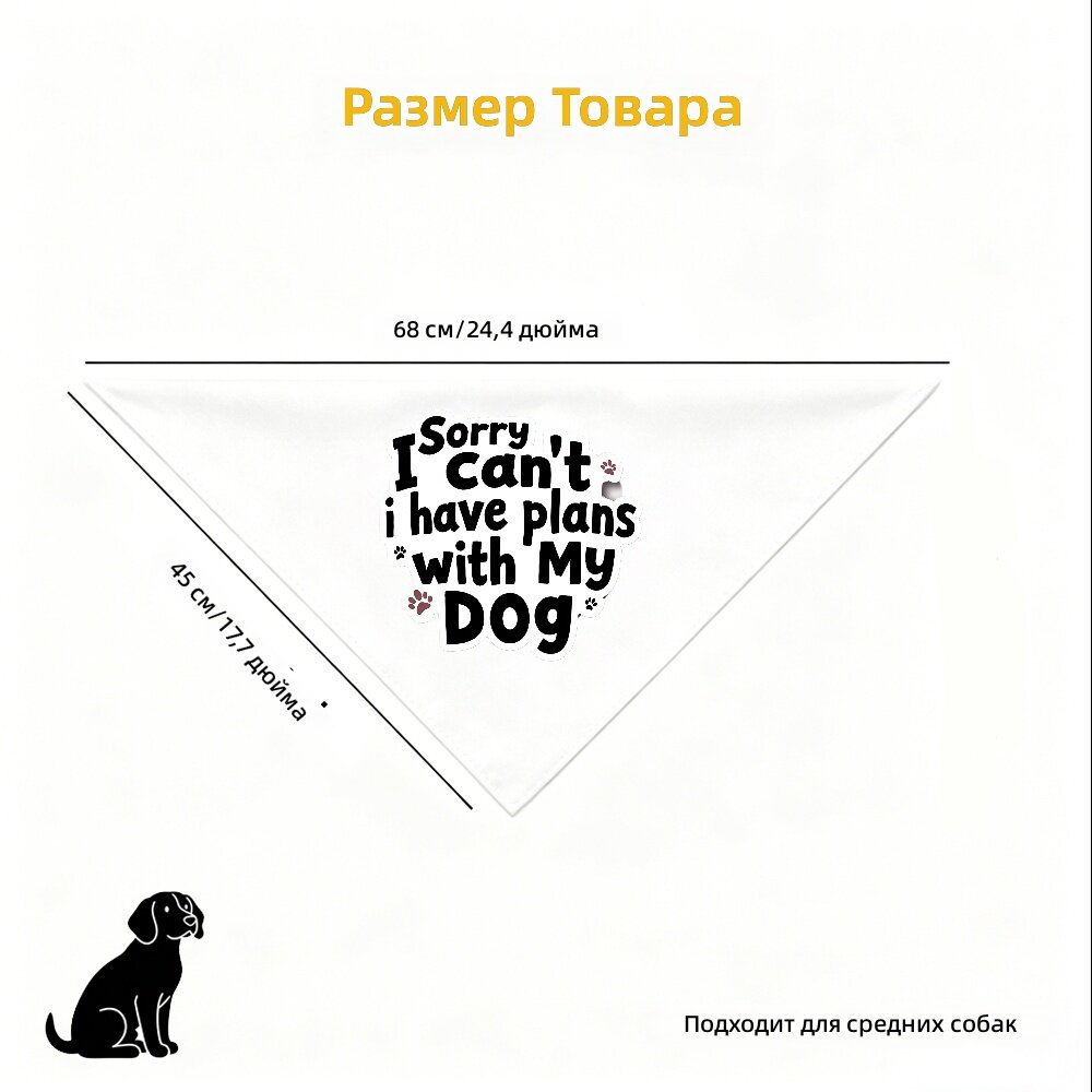 Бандана для кошек и собак с надписью "Sorry I Can't", современный шрифт без засечек, размер M, подходит для всех пород, ручная стирка