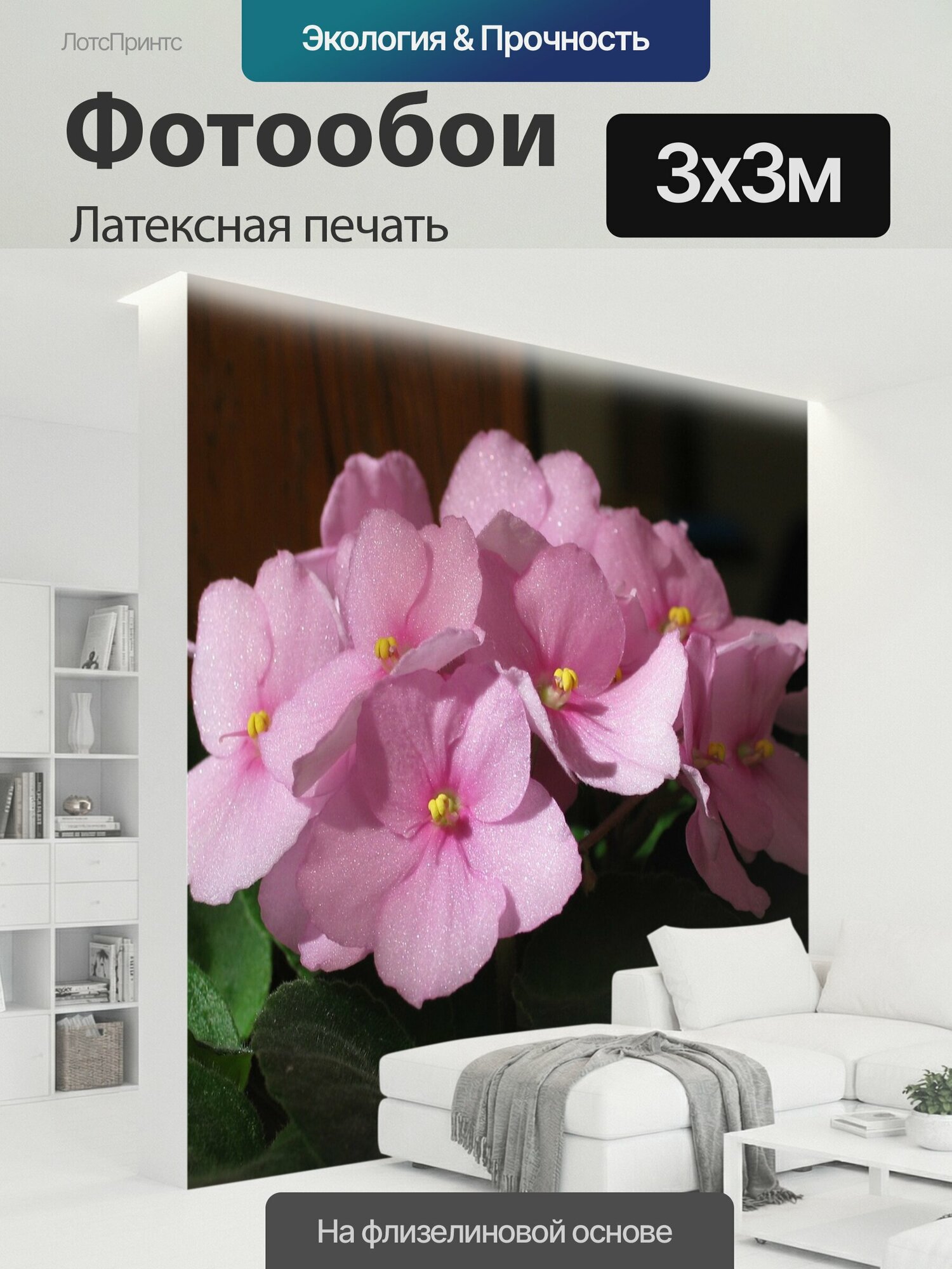Фотообои моющиеся ударопрочные "Африканские фиалки, сенполия, цветок" 300x300 см. латексная печать