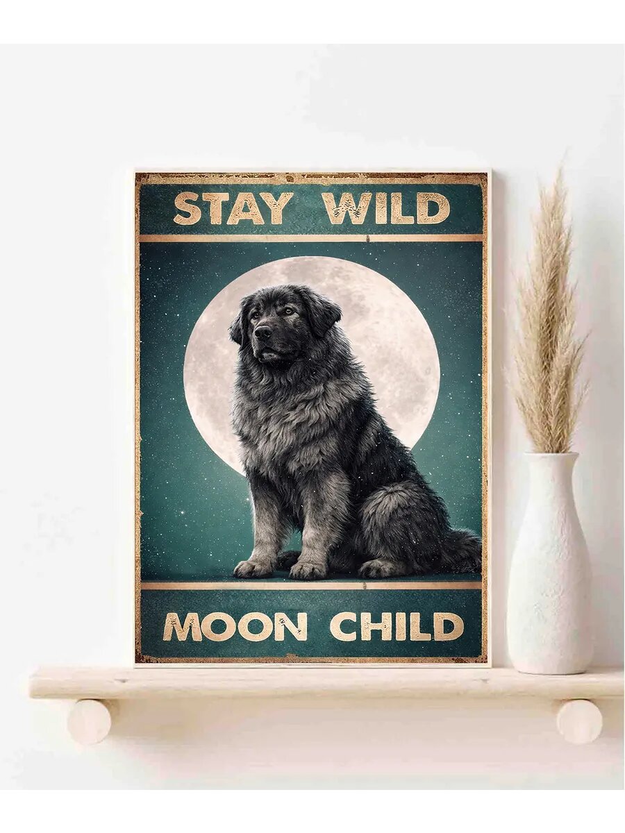 Шарпланинская овчарка, Stay Wild Moon Child, Плакат 30x42см