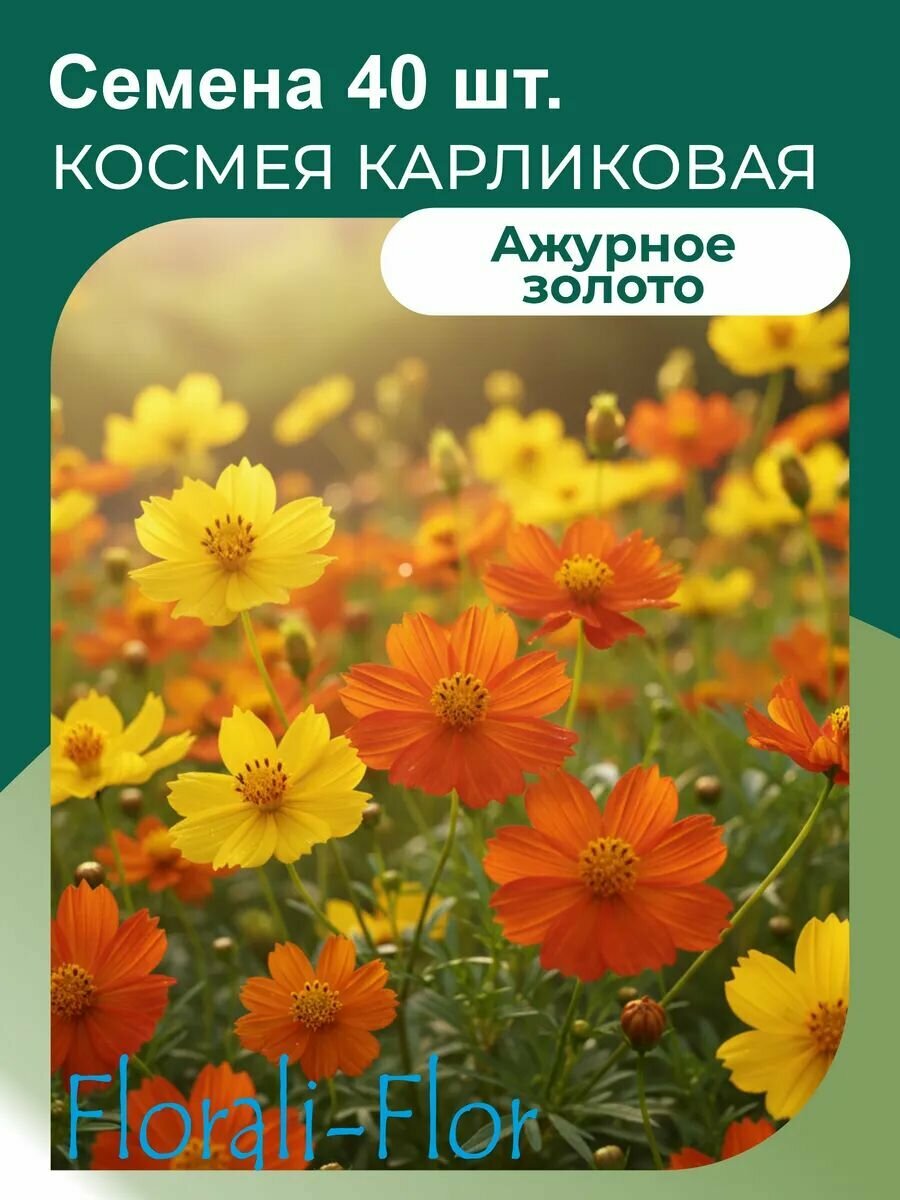 Космея Семена