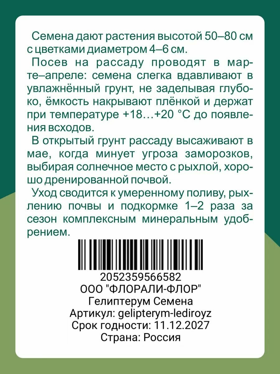 Гелиптерум Семена — фото 1