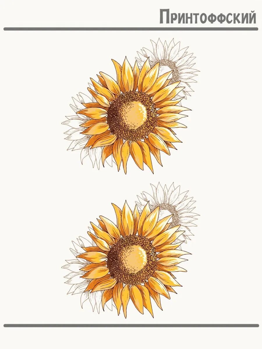 2-е (Две) Термонаклейки подсолнух цветы растения flower