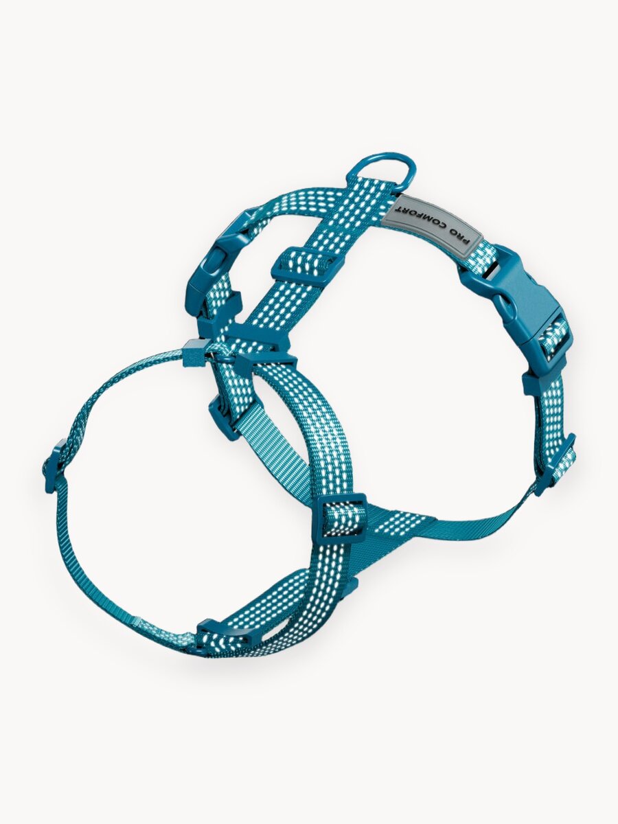 Шлейка для кошек и собак мелких пород анатомическая размер XXS, светоотражающая, голубая