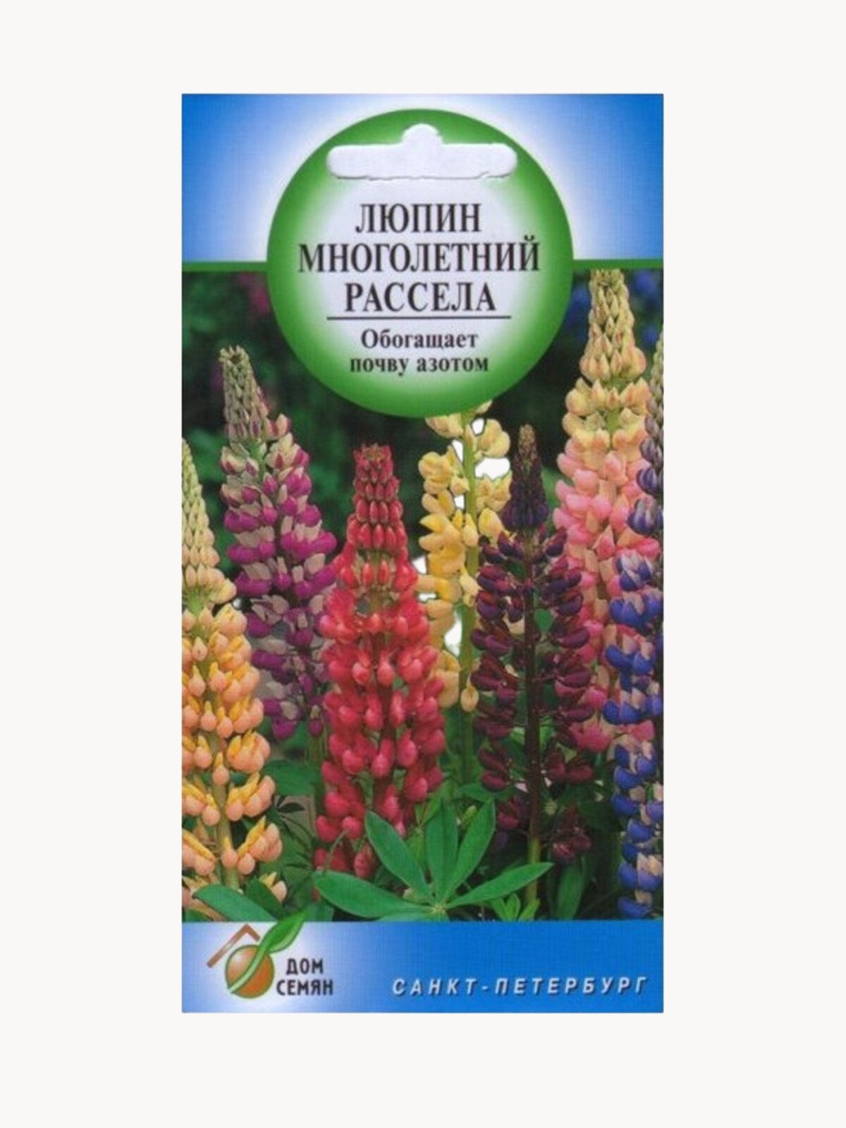 Люпин многолетний Рассела, 15 семян