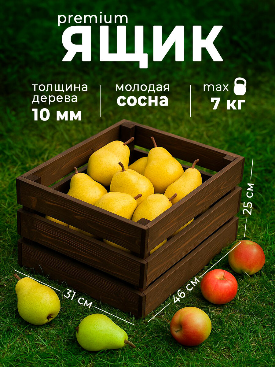 Контейнер для хранения Bergwolf, деревянный, массив, премиум, 46см х 31см х 25см, до 7кг, отшлифован, покрыт маслом