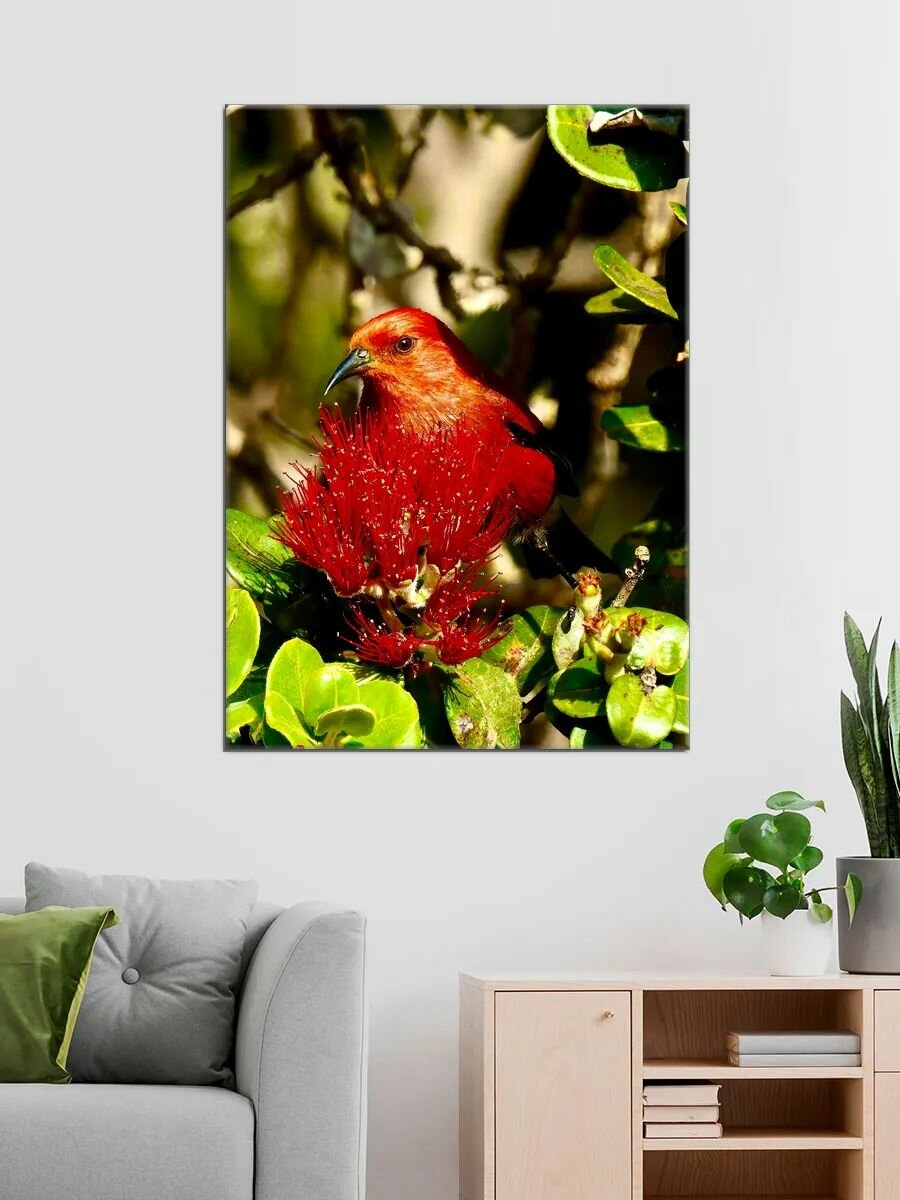 Картина на стену "Птицы с ярким окрасом", 30х40 см