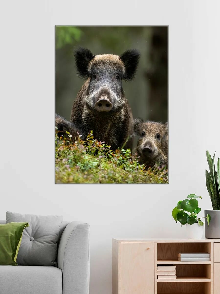 Картина на стену "Дикие животные", 30х40 см