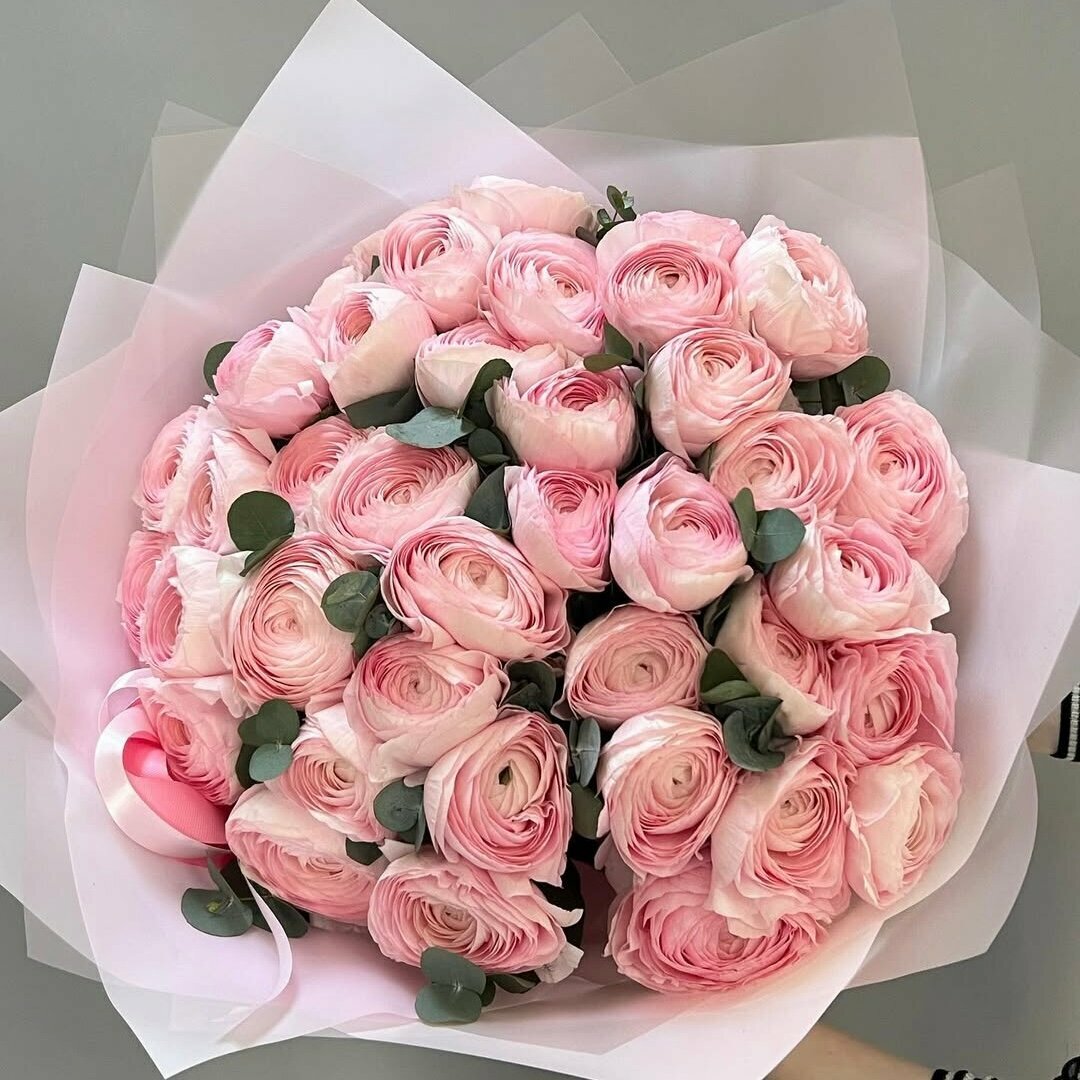 Букет из розовых ранункулюсов 51 шт и эвкалипта, красивый букет цветов, шикарный, премиум цветы, премиум букет
