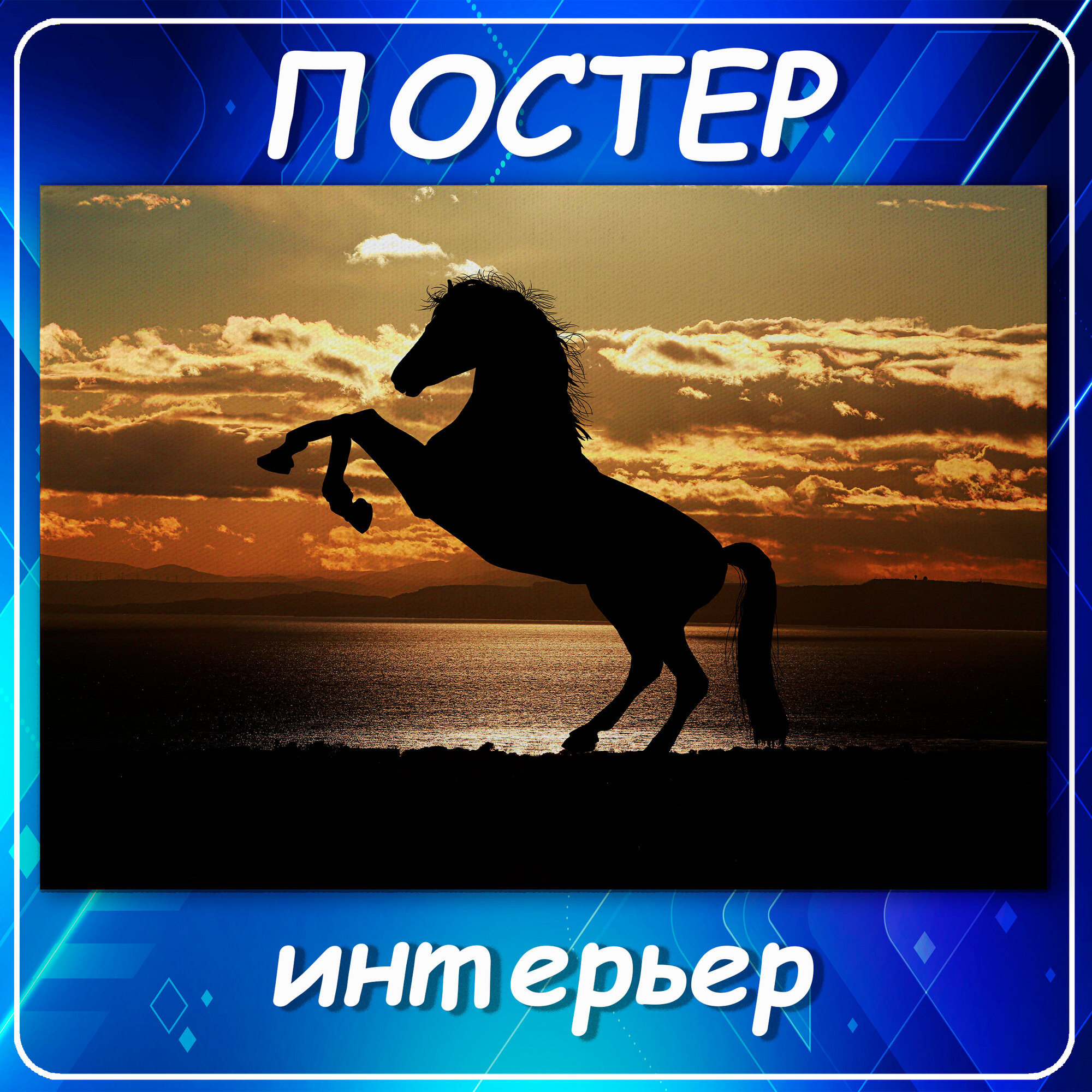 Постер 08, плакат, животные, лошади, кони, постер интерьерный, арт 1-8 50х70 см