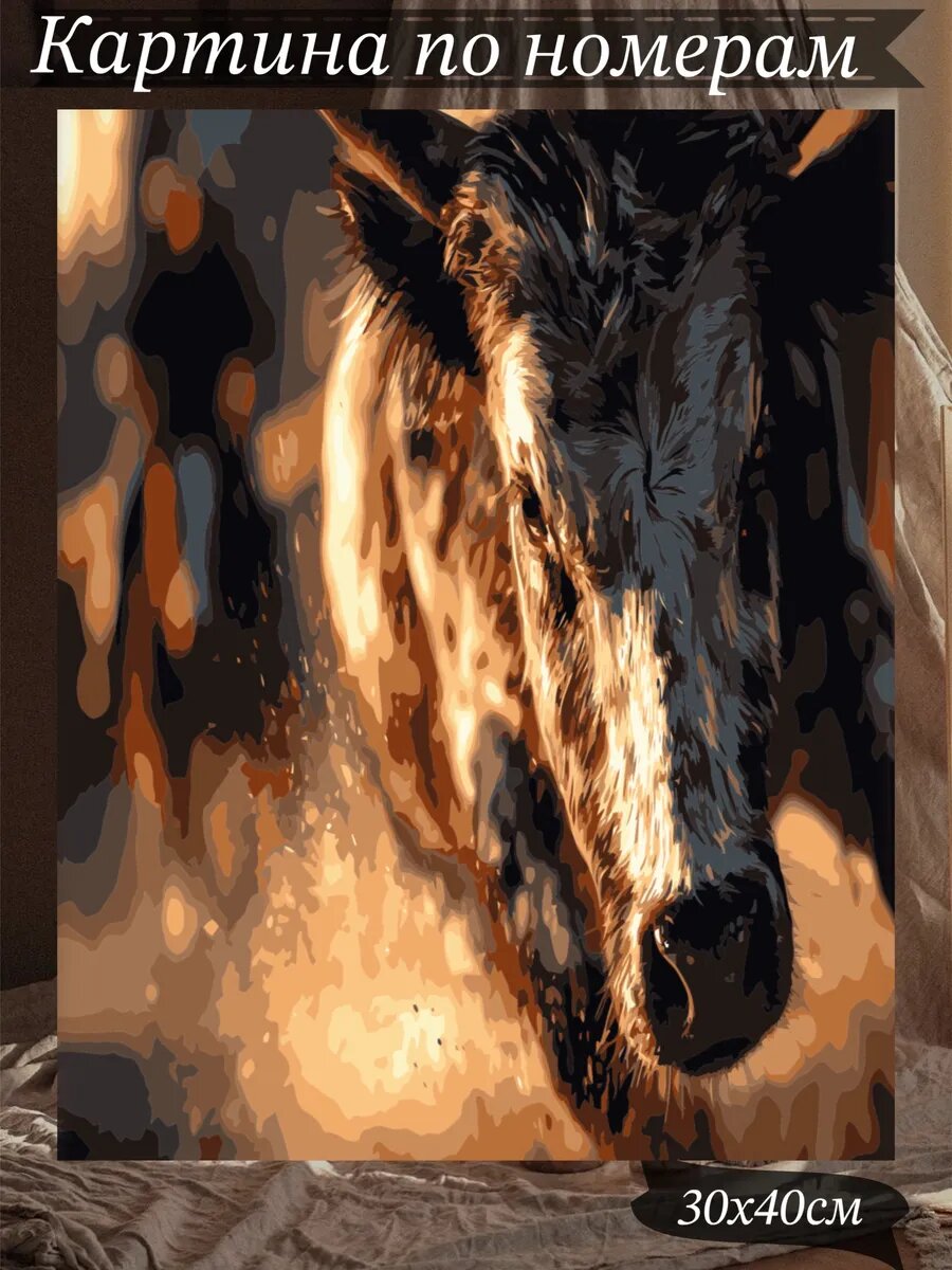 Картина по номерам бык
