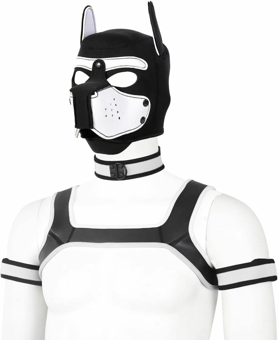 БДСМ-набор с маской на голову собаки: Маска на голову собаки + ошейник + нагрудный ремень + плечевой ремень