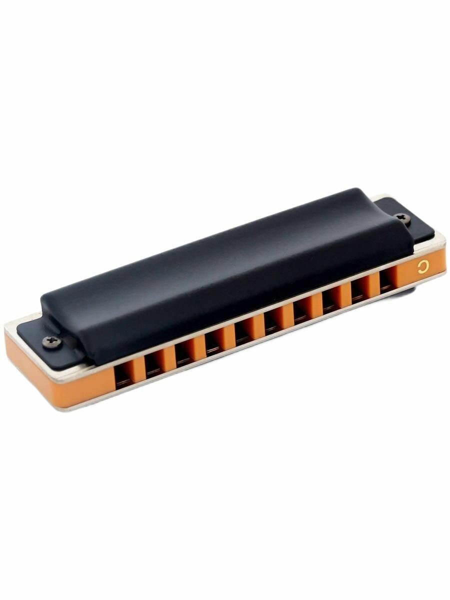 Губная гармошка диатоническая EASTTOP T008S C