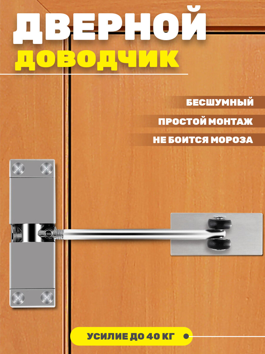 Эксклюзивный пружинный механизм для серебристой межкомнатной двери из дерева