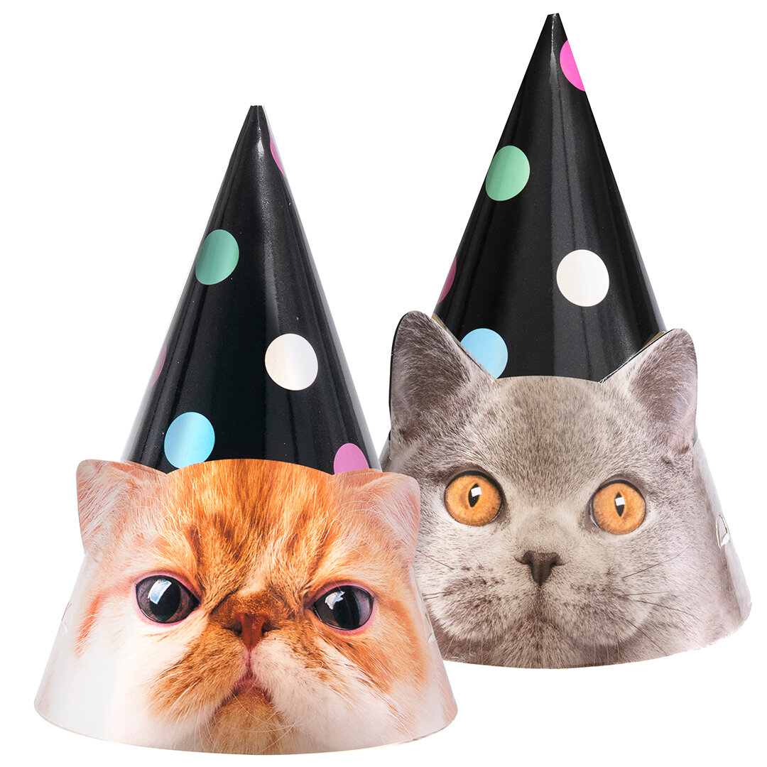 Колпачки для праздника дня рождения "Котики фотографичные", 6 шт