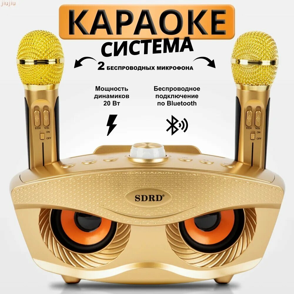 Караоке система для дома беспроводными микрофонами SDRD SD-306 Сова Золотая-