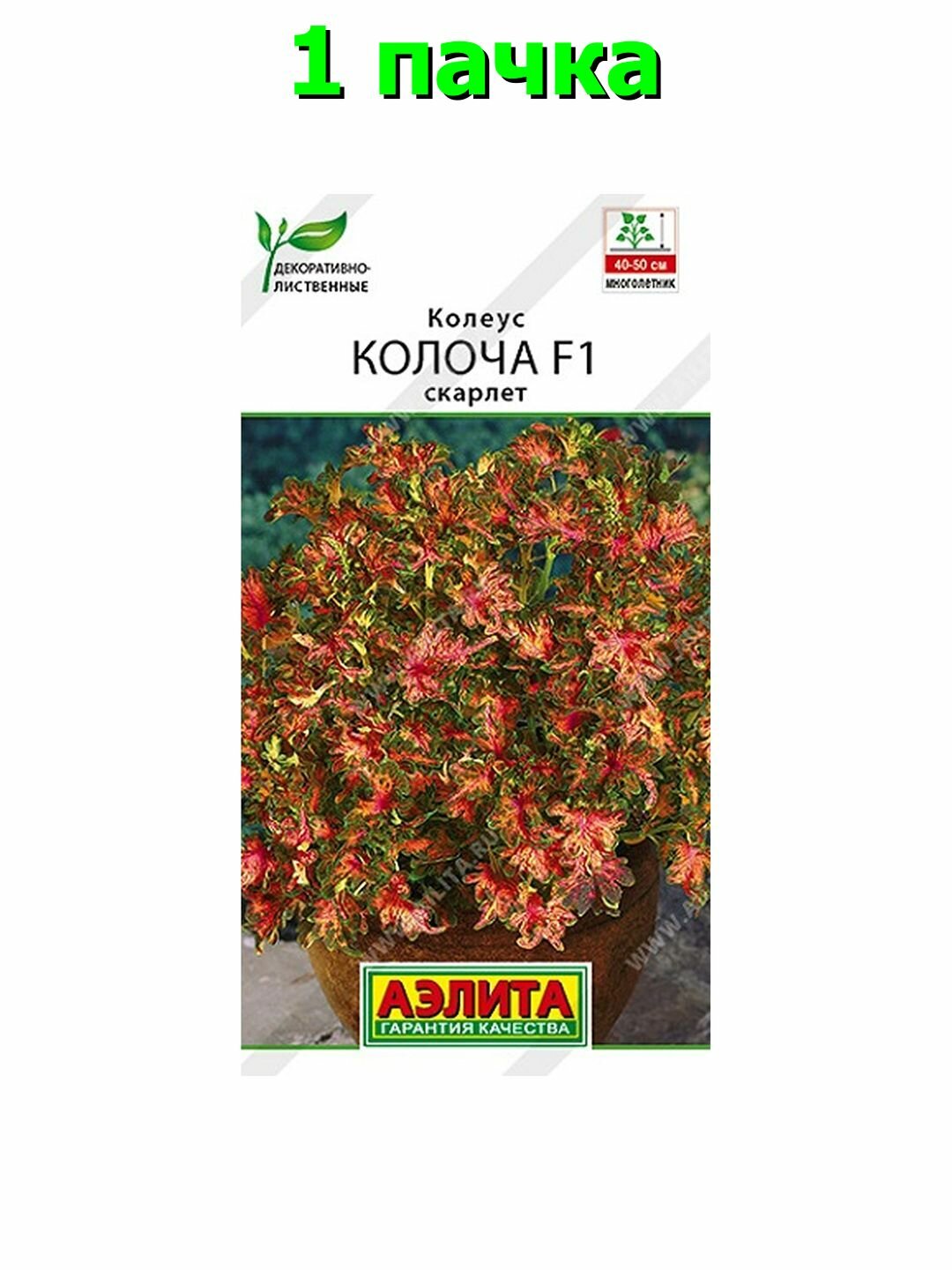 Семена Колеус Колоча F1 скарлет, многолетние, Аэлита - Декоративно-лиственные, 1 пачка - 5 семян