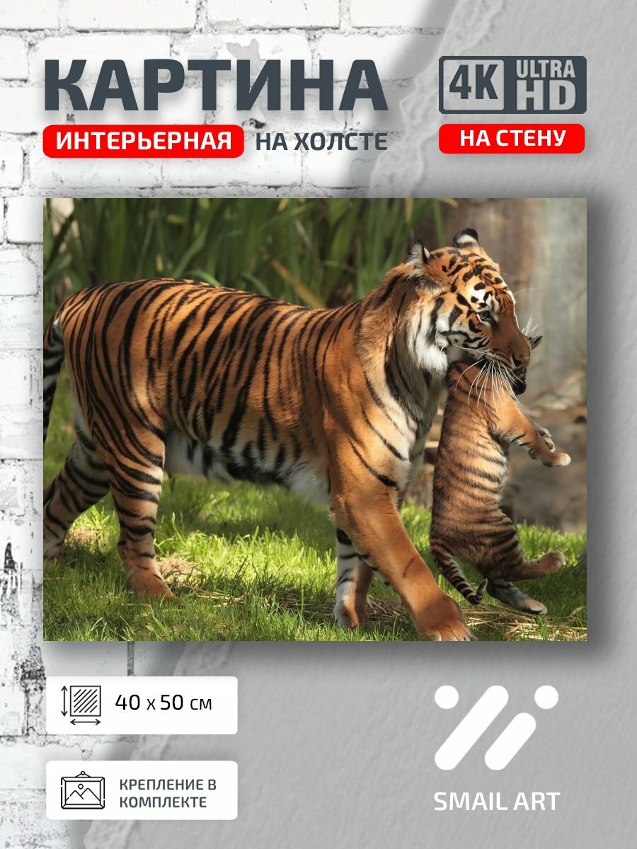 Картина на холсте интерьерная 40 на 50 на стену Тигрёнком Animal для гостиной animal style
