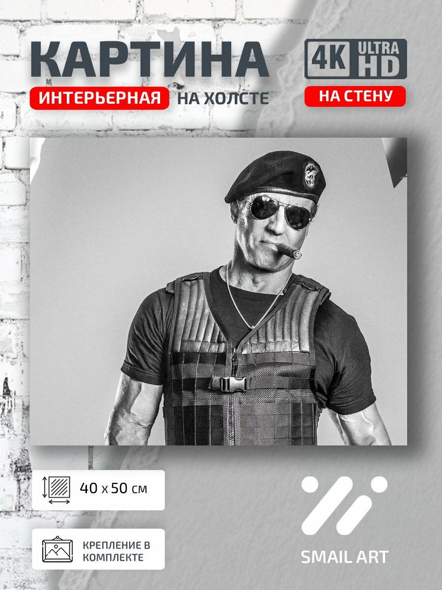 Картина на холсте интерьерная 40 на 50 на стену Солдат Mood для кабинета атмосфера интерьер