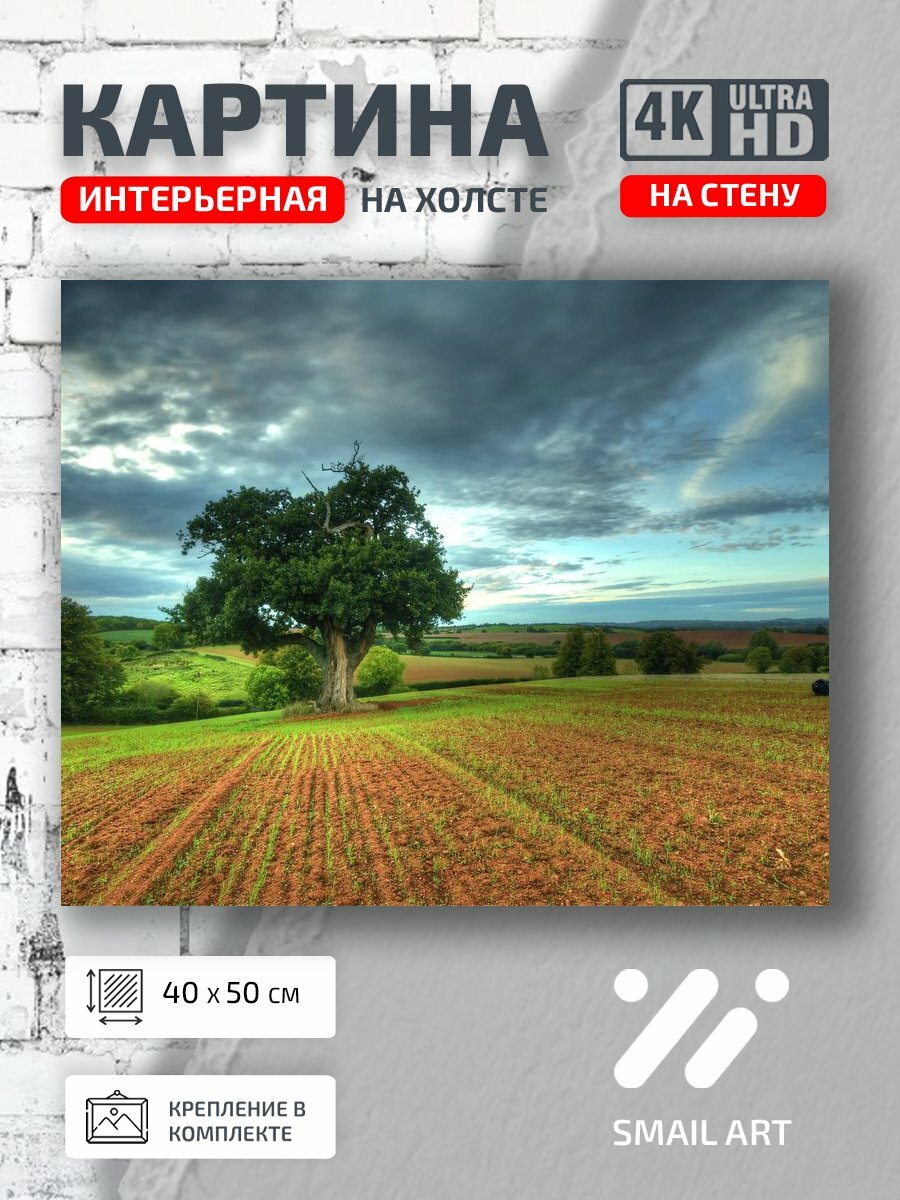 Картина на холсте интерьерная 40 на 50 на стену Поле Landscape для офиса пейзаж интерьер