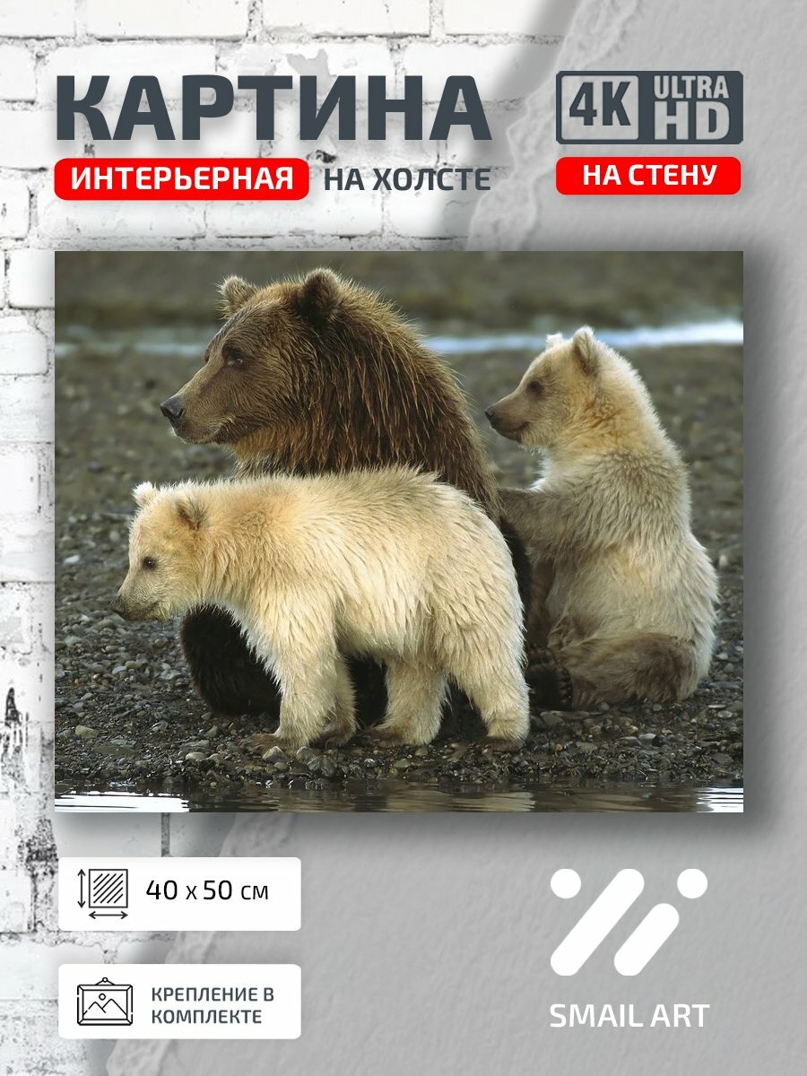 Картина на холсте интерьерная 40 на 50 на стену Медвежата Mood для спальни атмосфера декор
