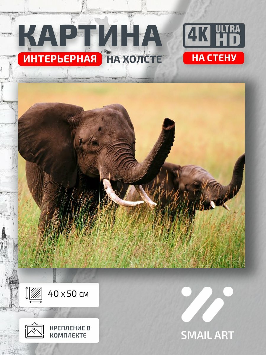 Картина на холсте интерьерная 40 на 50 на стену Слона Animal для спальни animal style декор