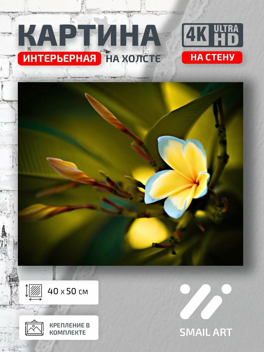 Картина на холсте интерьерная 40 на 50 на стену Ветка Macro для студии макро интерьер декор