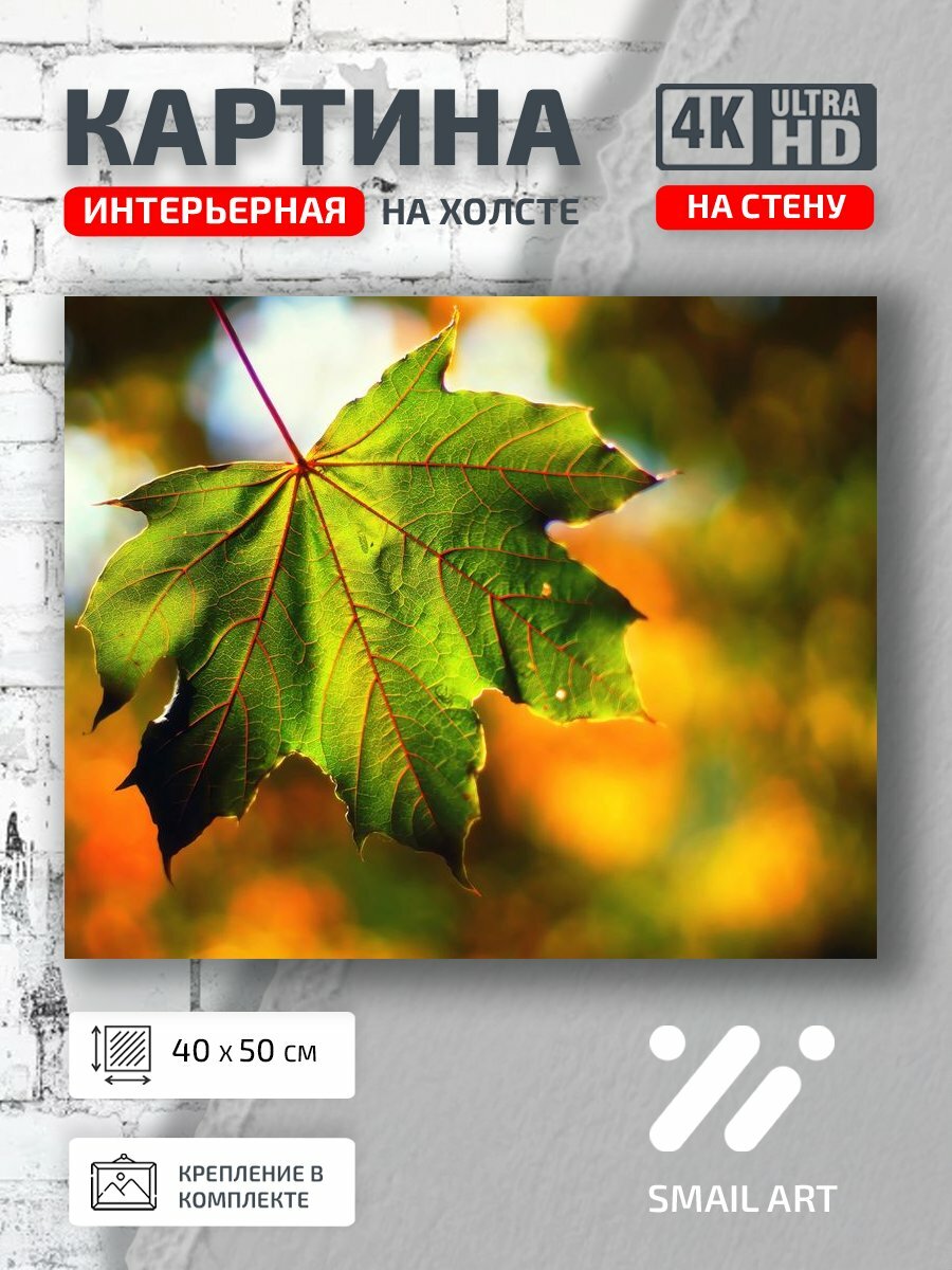 Картина на холсте интерьерная 40 на 50 на стену Зеленый Mood для гостиной атмосфера декор