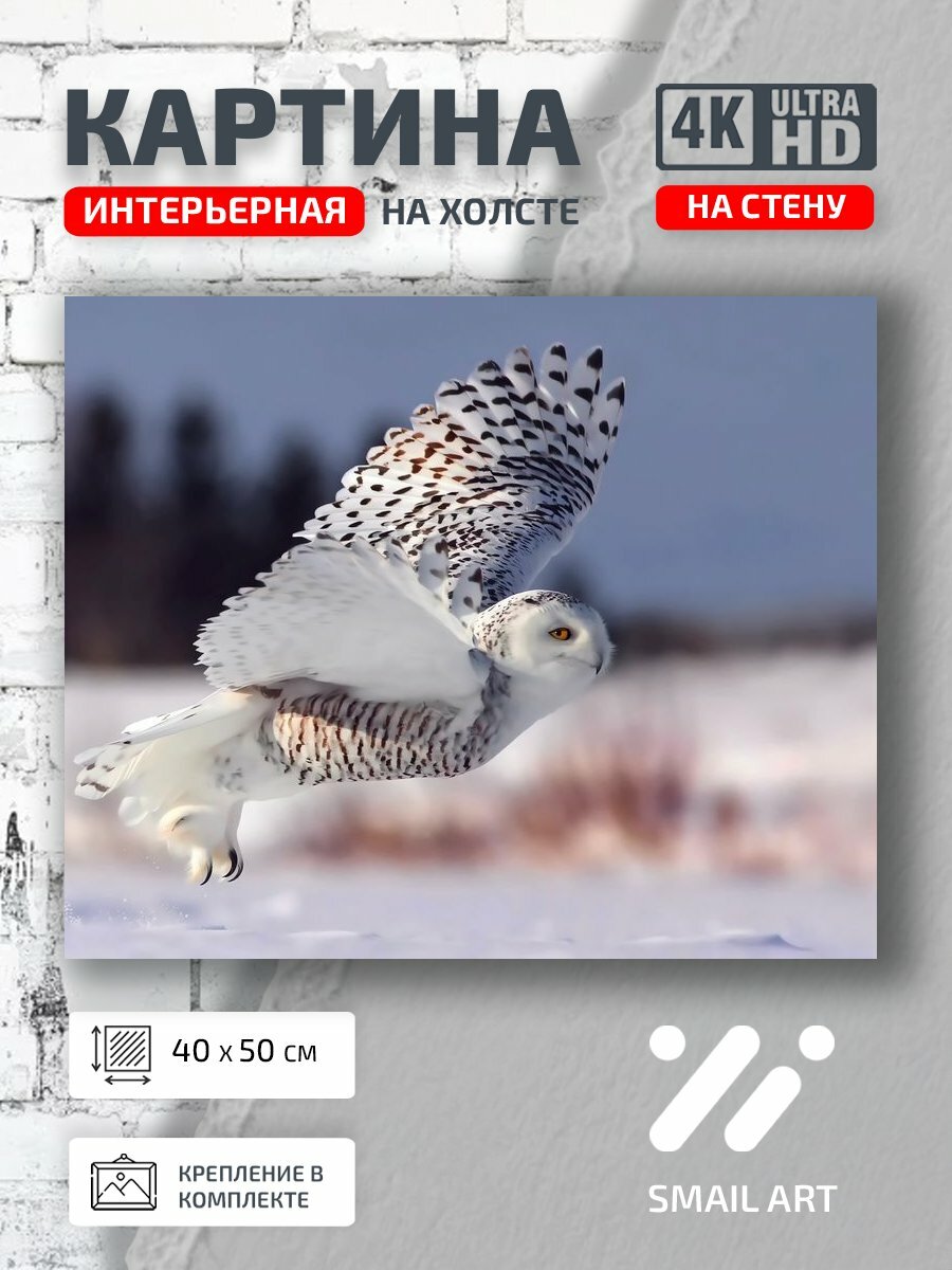 Картина на холсте интерьерная 40 на 50 на стену Крылья Landscape для кабинета пейзаж декор
