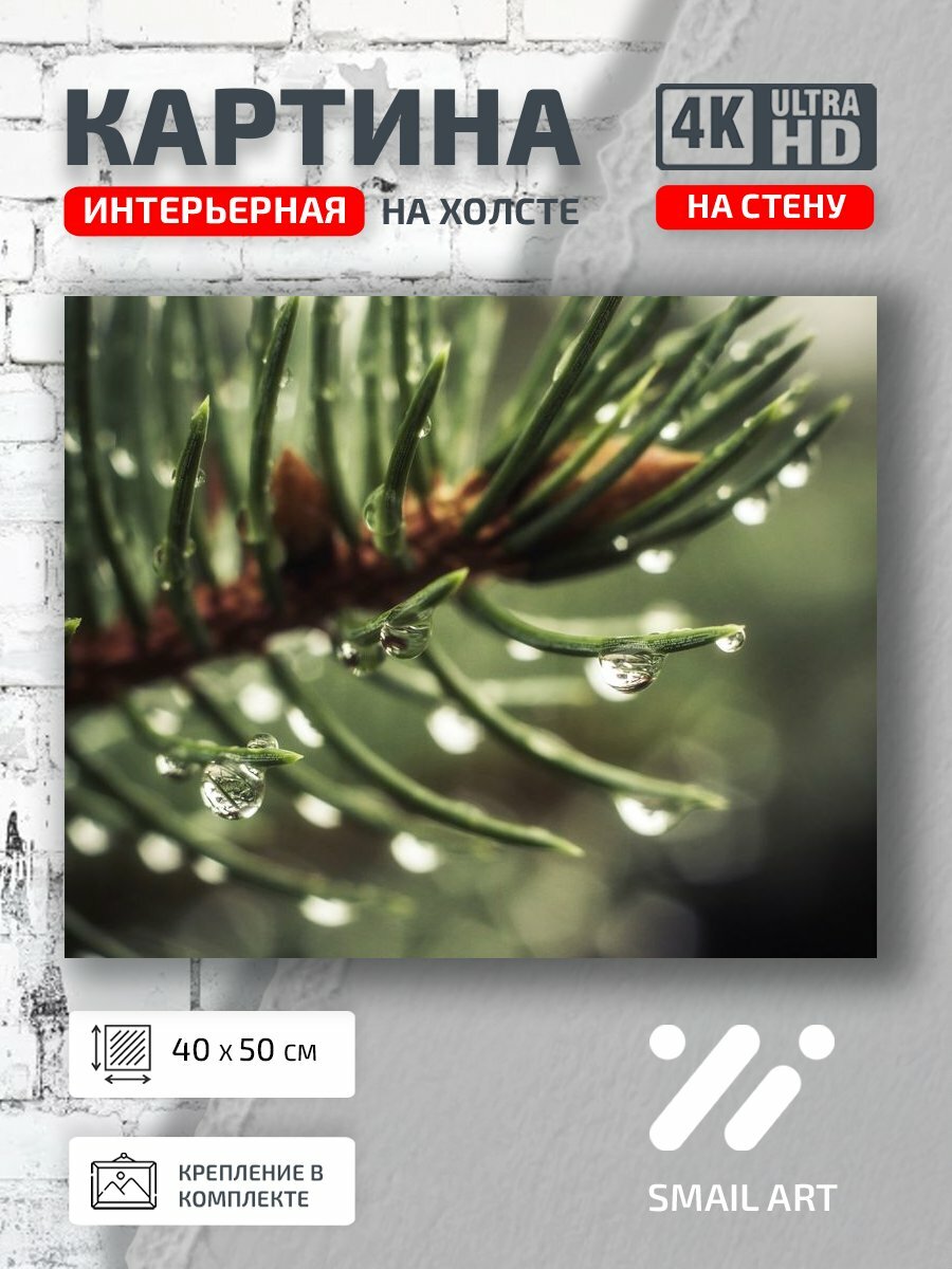 Картина на холсте интерьерная 40 на 50 на стену Дерево Landscape для офиса пейзаж интерьер