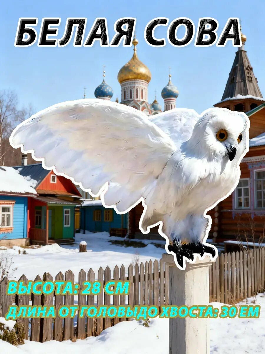 Перья белой совы с крыльями