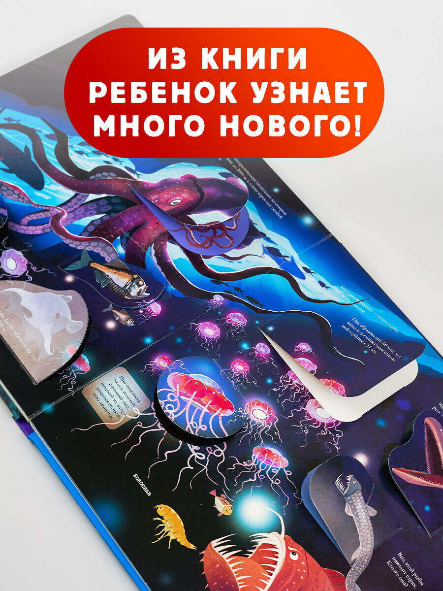 Энциклопедия для детей про морских обитателей "Подводный мир" книга от издательства АСТ — фото 1