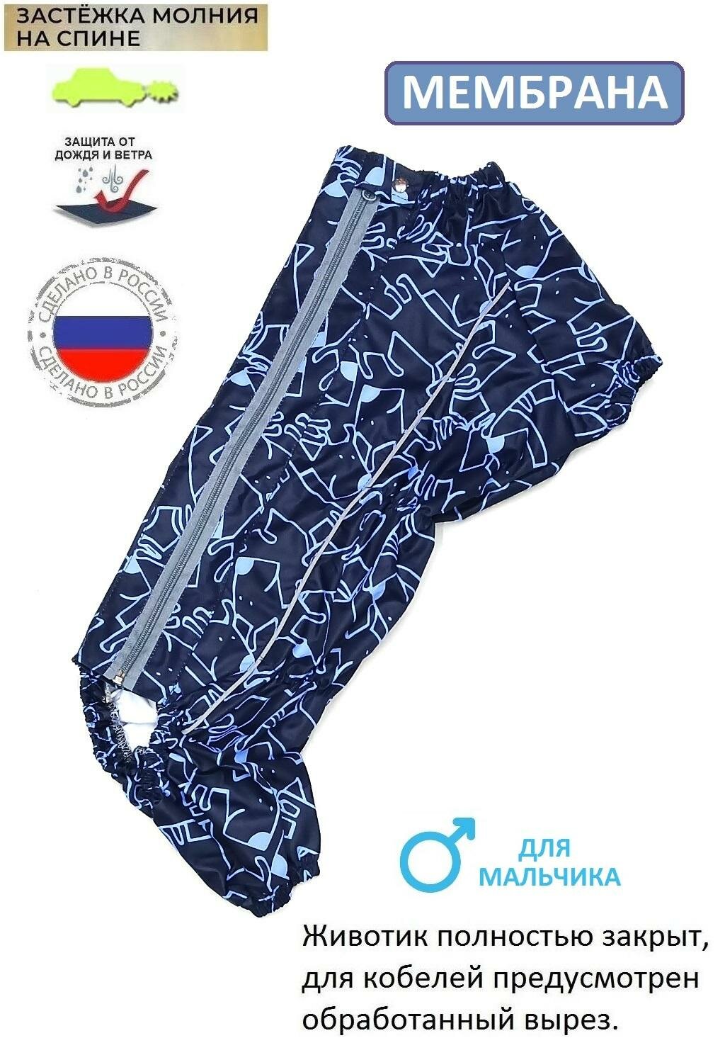 Комбинезон-дождевик для такс на грязь. Мальчик (45см мальчик)