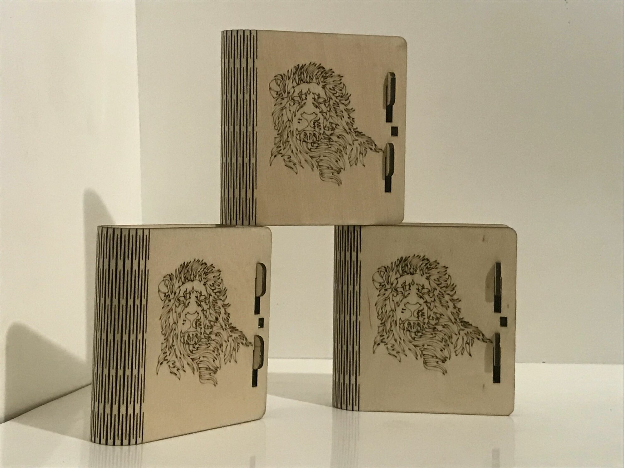 Шкатулка для подарка "Лев"